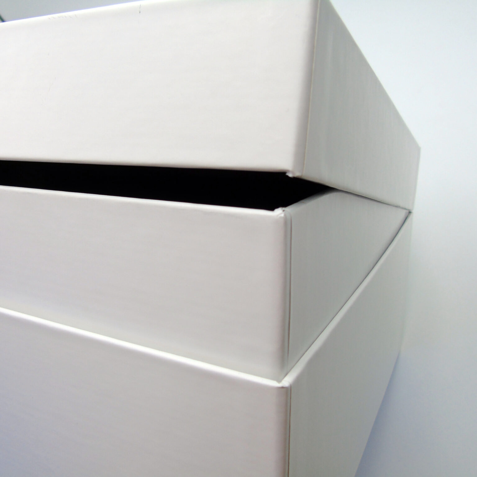 Neutraler Klappdeckelkarton mit Halseinsatz — Hertel Kartonagen