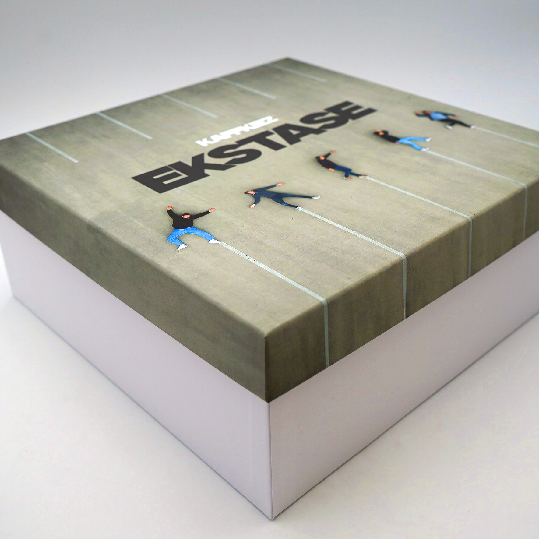 Großer Karton — Hertel Kartonagen